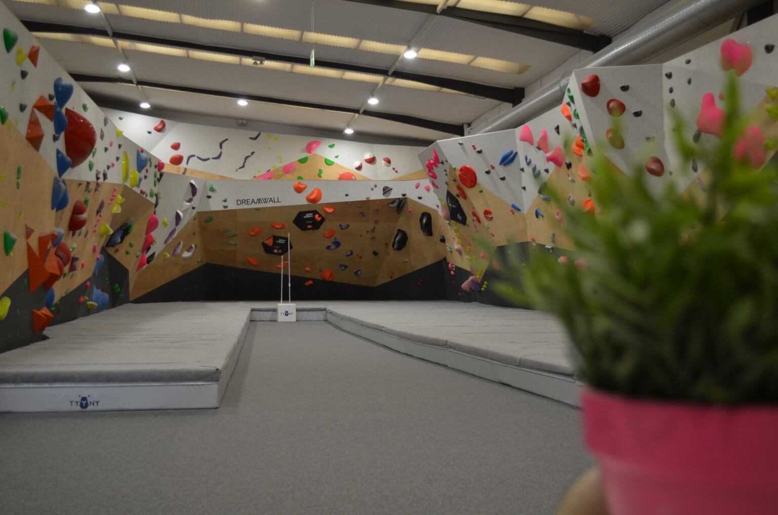 Un rocódromo familiar donde todos tienen cabida | Rocópolis